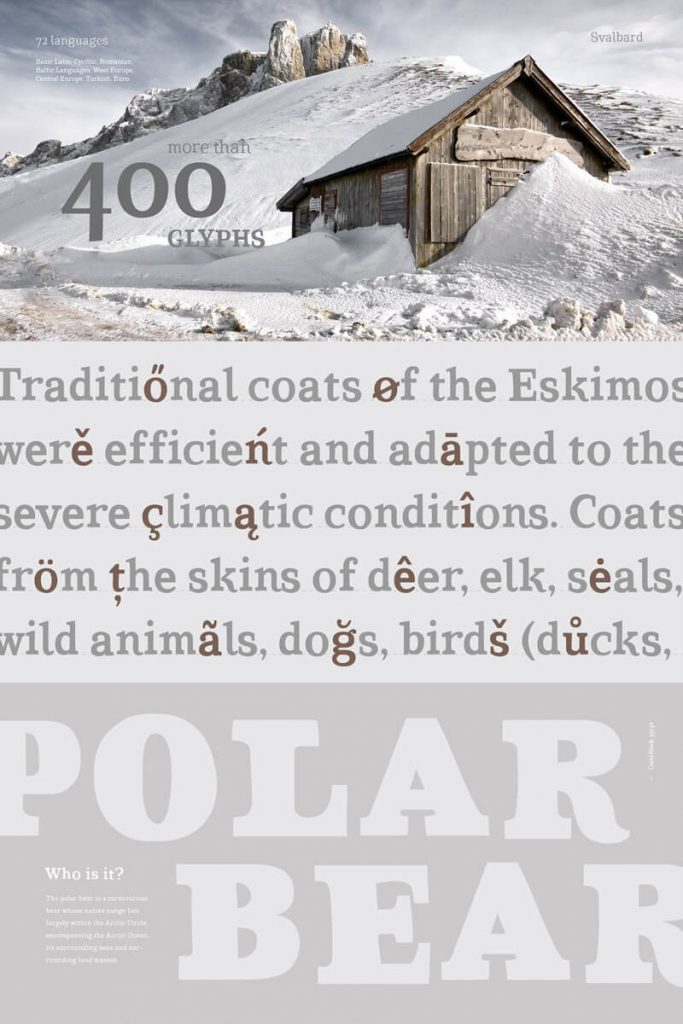 55 Modern Incredible Script Typefaces - Graphic Design Bundle Deals ...