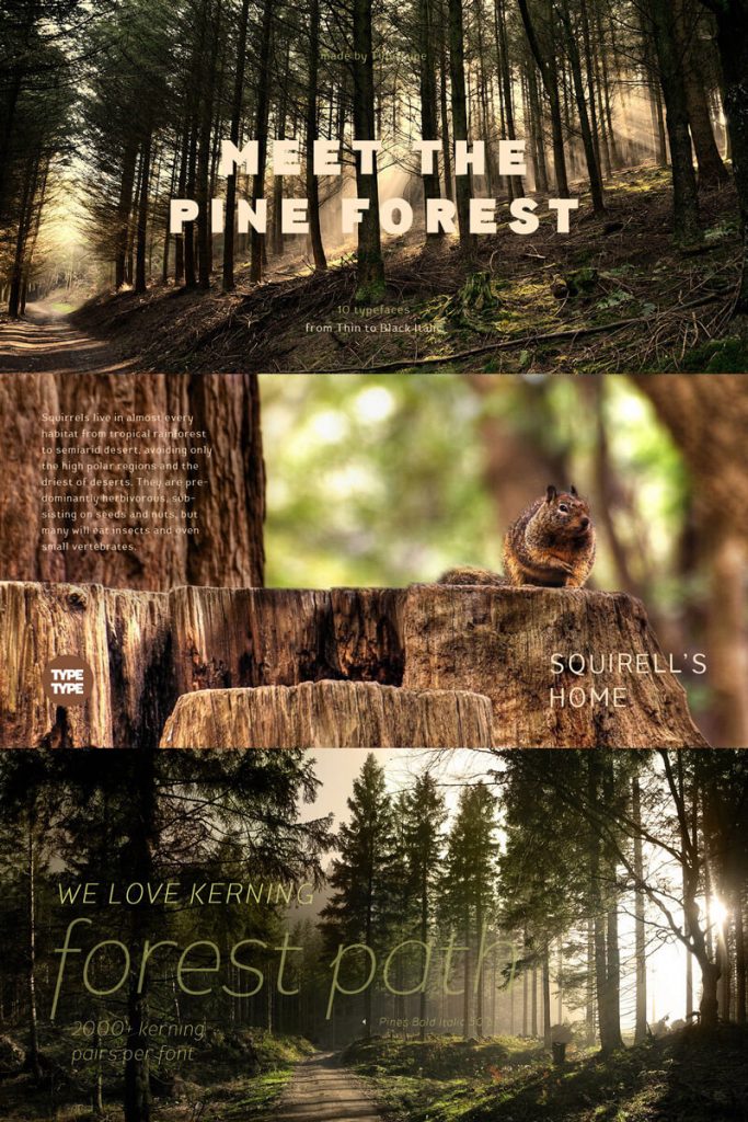 55 Modern Incredible Script Typefaces - Graphic Design Bundle Deals ...