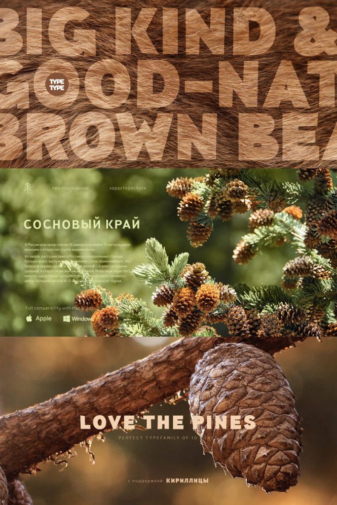 55 Modern Incredible Script Typefaces - Graphic Design Bundle Deals ...