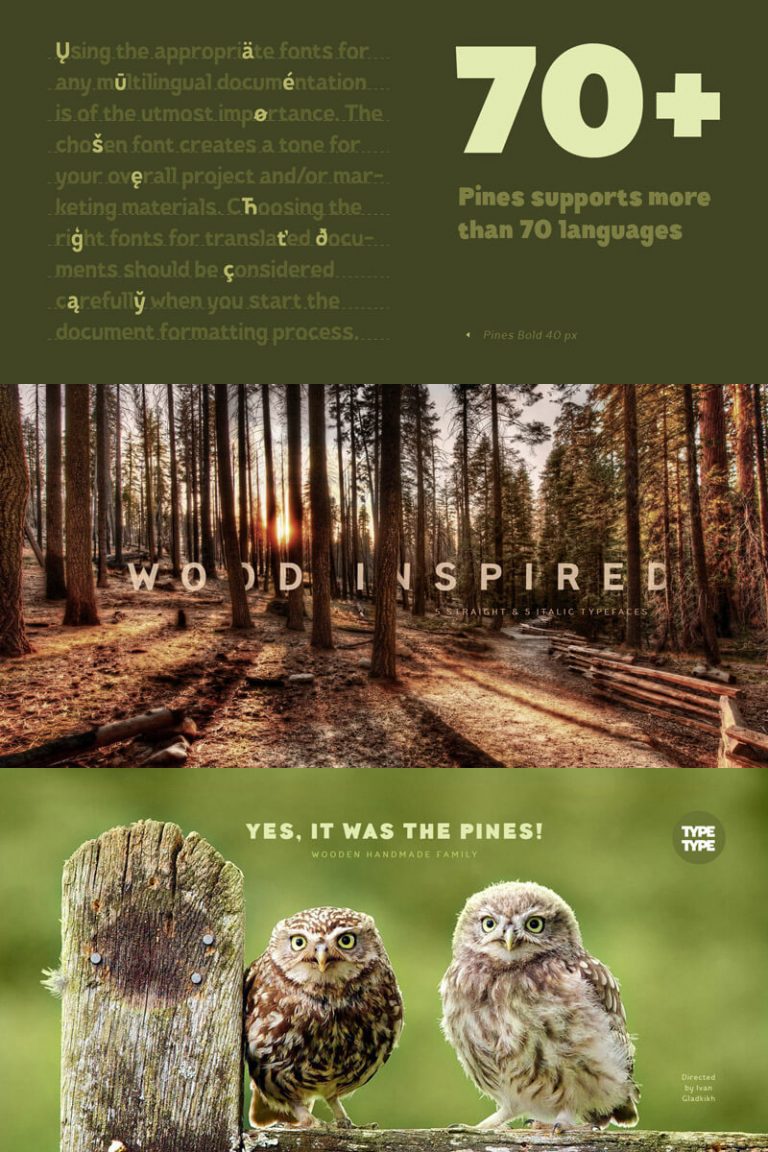 55 Modern Incredible Script Typefaces - Graphic Design Bundle Deals ...