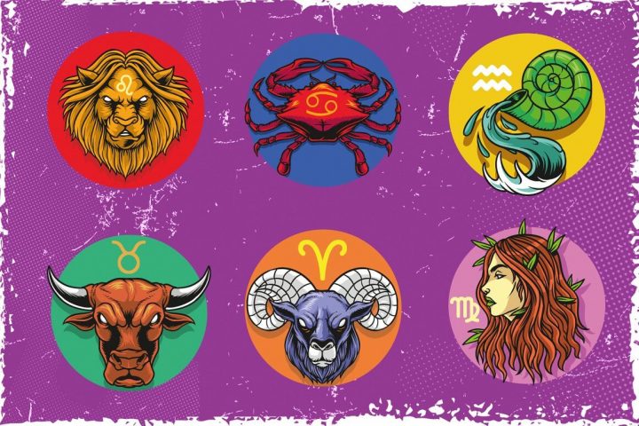 Vector Mascots Pack 2 - Graphic Design Bundle Deals - Graphicloot